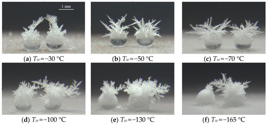 Experimental Study of Frost Crystals Dendrite Growth on Two Neighboring ...