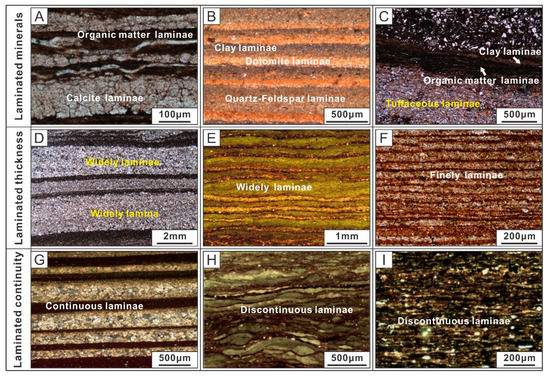 The Controls of Laminae on Lacustrine Shale Oil Content in China: A ...