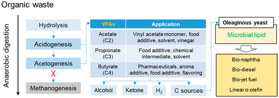 Automatic Fed-Batch Cultivation Enhances Microbial Lipid Production ...