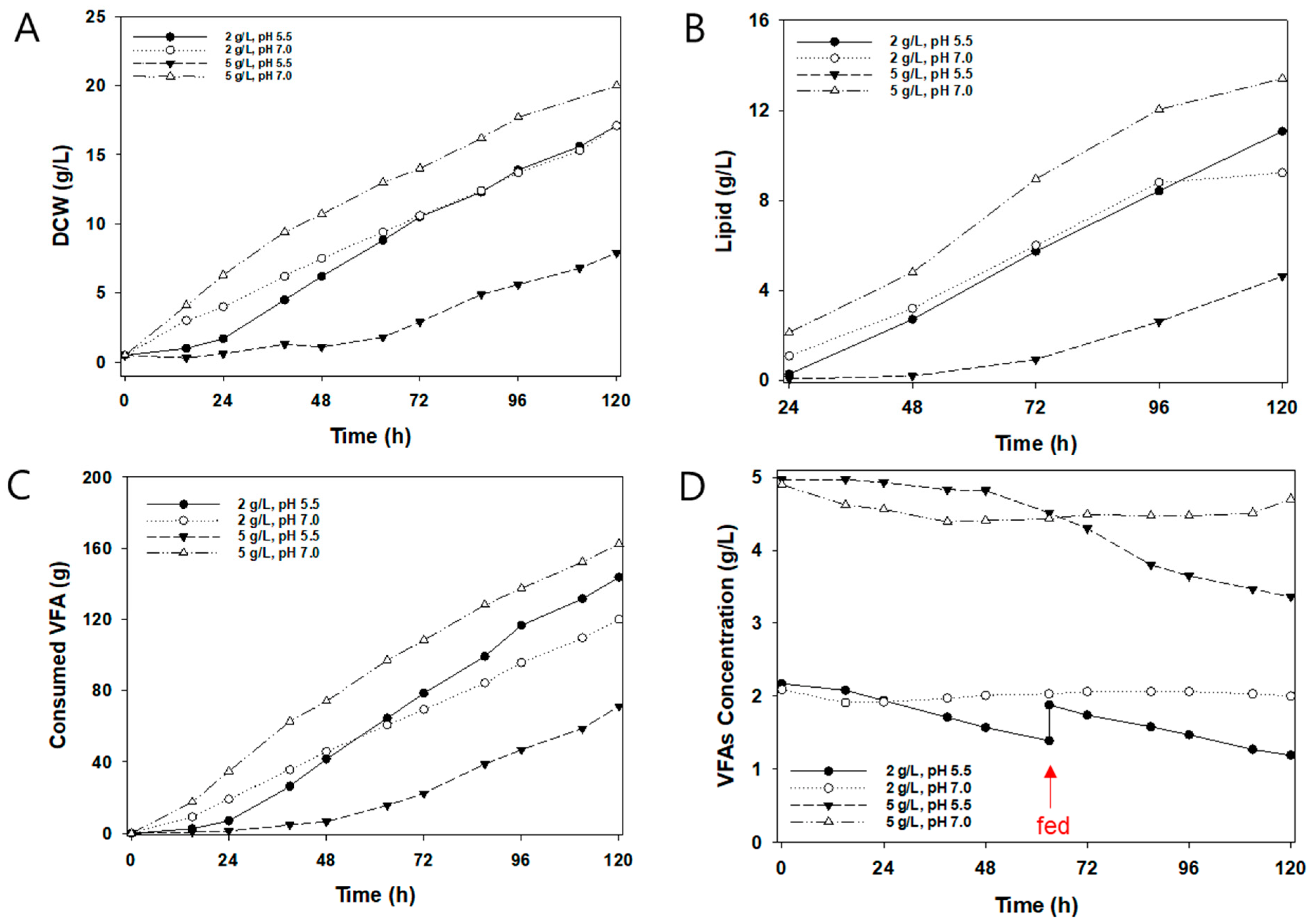 Automatic Fed-Batch Cultivation Enhances Microbial Lipid Production ...
