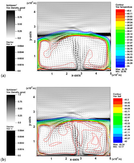 Adaptive Finite Element Simulation of Double-Diffusive Convection