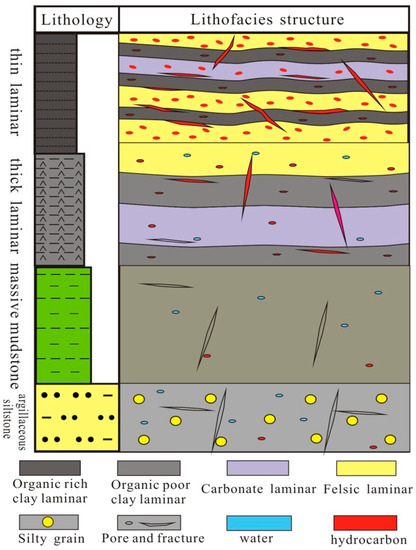 Lithofacies Characteristics and Their Effects on Shale Oil Enrichment ...