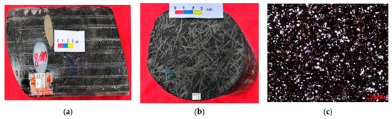 Reservoir Characteristics of Normally Pressured Shales from the ...