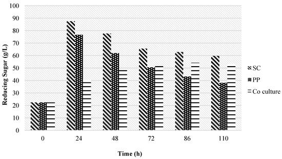 Enzymatic Co-Fermentation of Onion Waste for Bioethanol Production ...