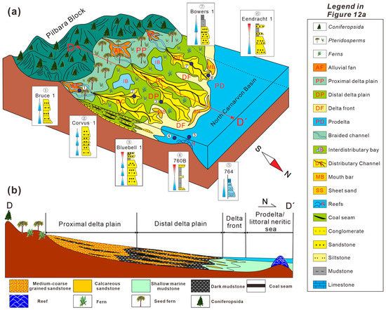The Facies Analysis, Evolution, and Coal-Bearing Source Rock Features ...