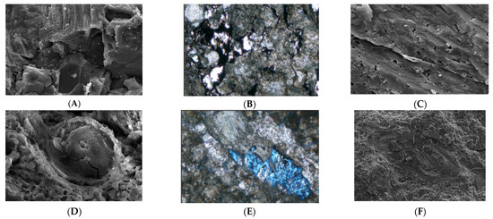 Characteristics and Controlling Factors of Tight Marl Reservoirs with ...