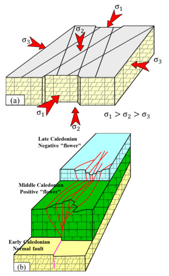 Analyzing the Formation and Evolution of Strike-Slip Faults and Their ...