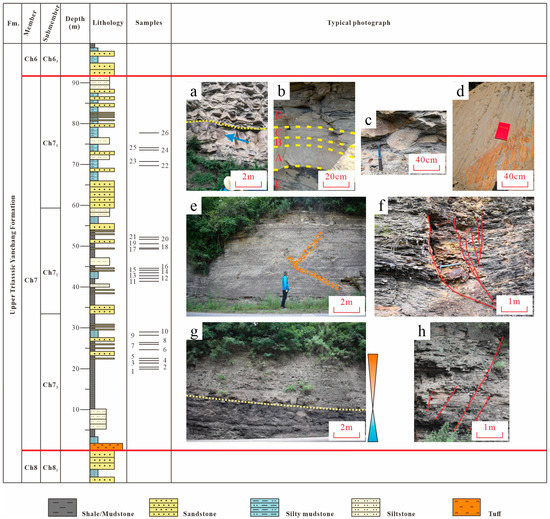 The Characteristics of Lithofacies and Depositional Model of Fine ...