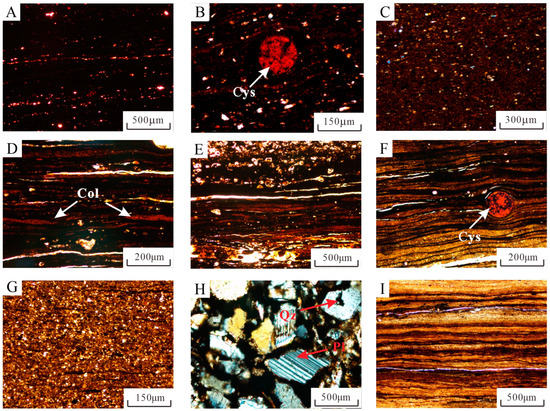 The Characteristics of Lithofacies and Depositional Model of Fine ...