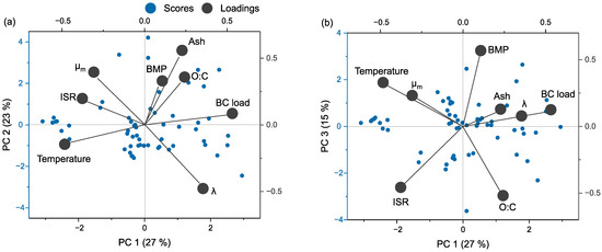 Understanding the Influence of Biochar Augmentation in Anaerobic ...