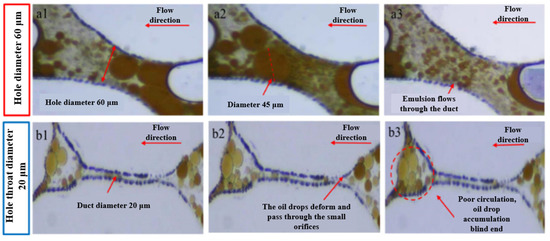 Microscopic Visualization Experimental Study on the Effect and ...