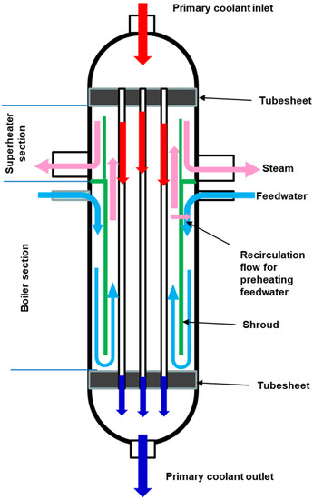 Conceptual Design of the Steam Generators for the EU DEMO WCLL Reactor