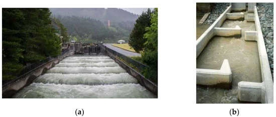 Energies | Free Full-Text | State of the Art in Designing Fish-Friendly ...