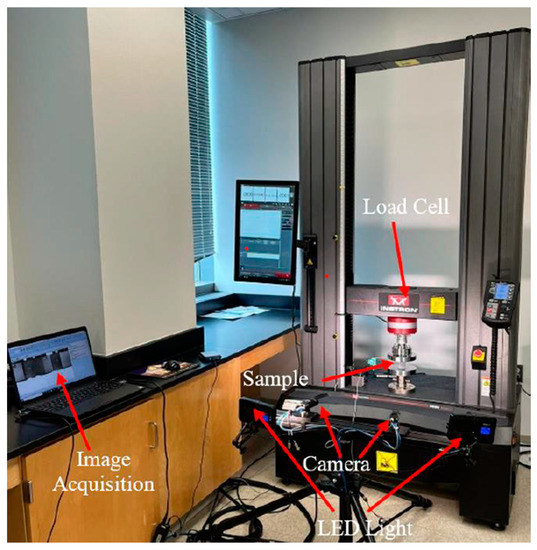 Characterizing Complex Deformation, Damage, and Fracture in ...