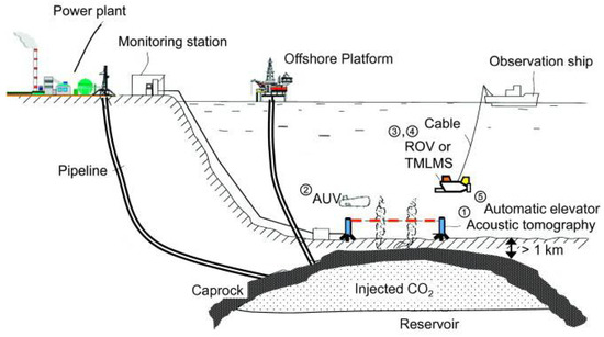 A Systematic Review of Carbon Capture, Utilization and Storage: Status ...