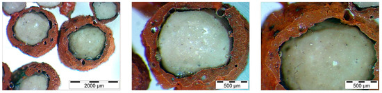Critical Review of Ca(OH)2/CaO Thermochemical Energy Storage Materials