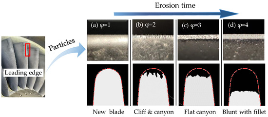Energies | Free Full-Text | A Review on Leading-Edge Erosion Morphology ...