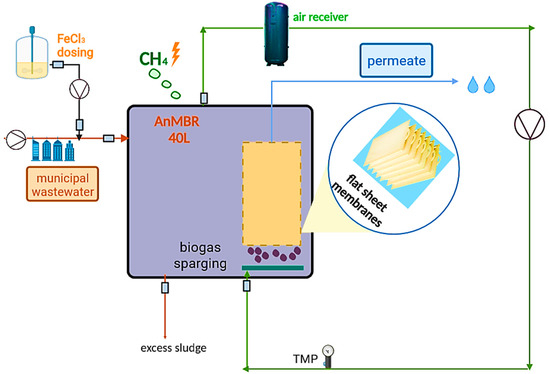 Enhancing the Performance of AnMBR Treating Municipal Wastewater at a ...