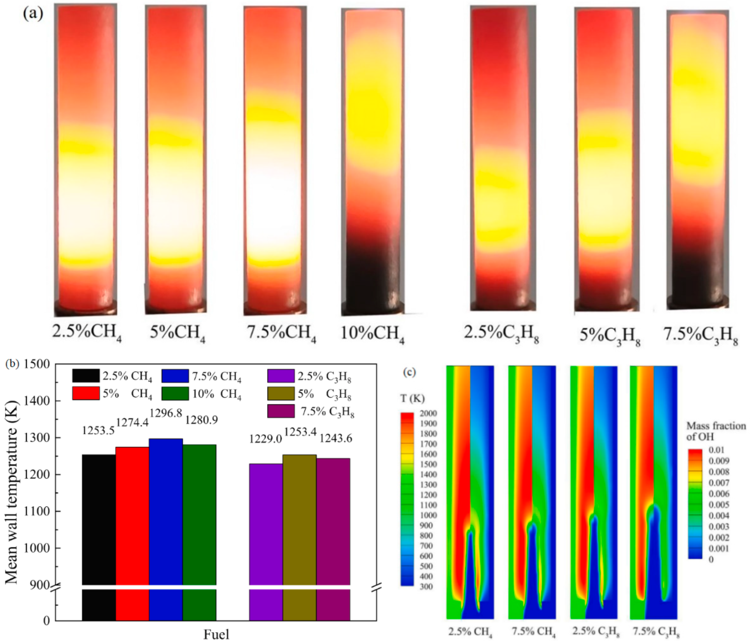 A Review of Micro Power System and Micro Combustion: Present Situation ...