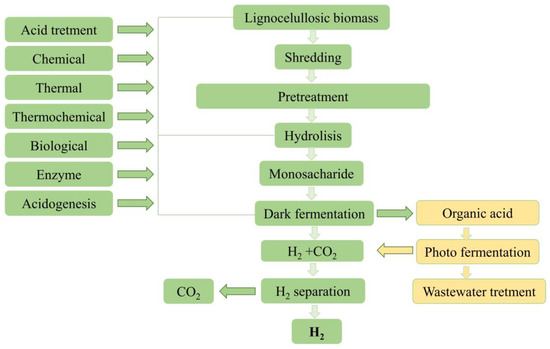 Biological Hydrogen Production from Biowaste Using Dark Fermentation ...
