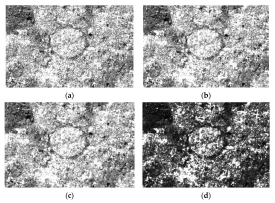 An Application of Machine Learning Algorithms by Synergetic Use of SAR and Optical Data for ...