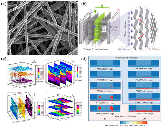 Energies | Free Full-Text | A Review on Mass Transfer in Multiscale Porous Media in Proton ...