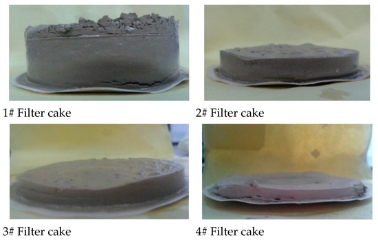 Study on Artificial Filter Cake Evaluation Method of Oleophilic Nano ...