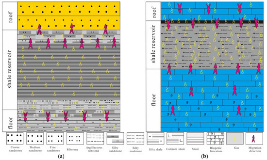 Energies | Free Full-Text | Discussion on Transitional Shale Gas ...