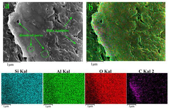 Geochemical and Microstructural Characteristics of Clay Minerals and Their Effects on the Pore ...