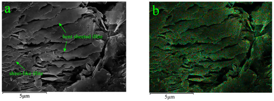 Geochemical and Microstructural Characteristics of Clay Minerals and Their Effects on the Pore ...