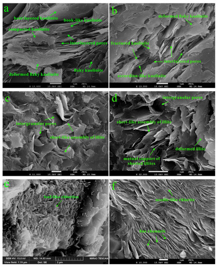 Geochemical and Microstructural Characteristics of Clay Minerals and Their Effects on the Pore ...