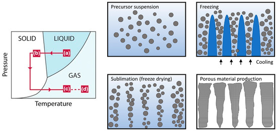 Ice-Templated Method to Promote Electrochemical Energy Storage and ...