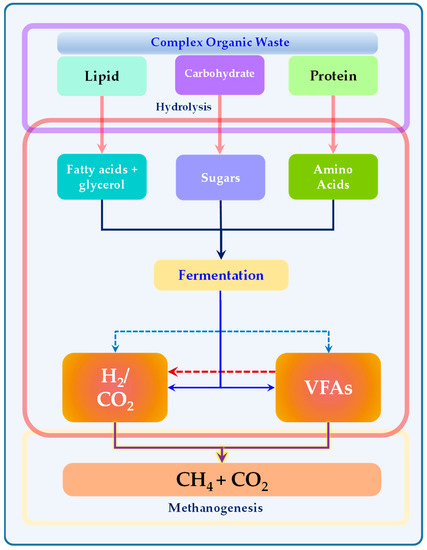 Bioprocessing of Waste for Renewable Chemicals and Fuels to Promote ...
