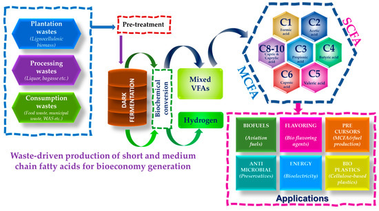 Bioprocessing of Waste for Renewable Chemicals and Fuels to Promote ...