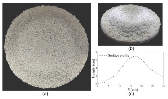 A Comparative Study of the Performance of Different Particle Models in Simulating Particle ...