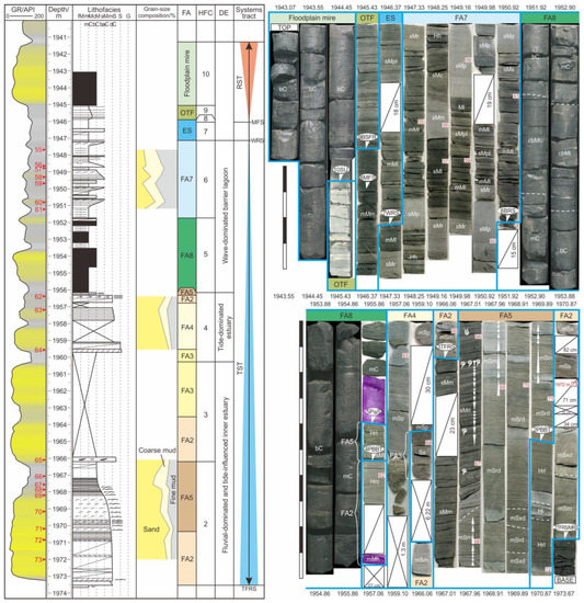 Coastal Depositional Responses to Relative Sea-Level Rise: Insights ...