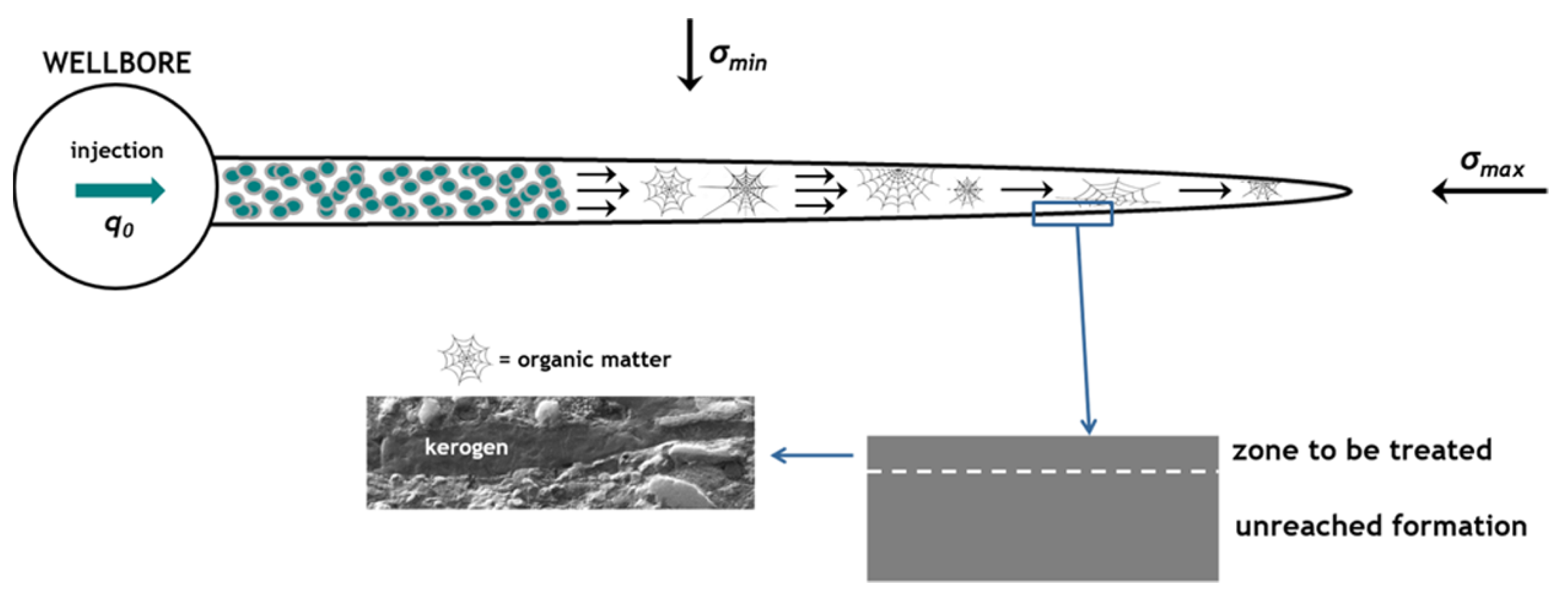 New Insight into Enhancing Organic-Rich Shale Gas Recovery: Shut-in ...