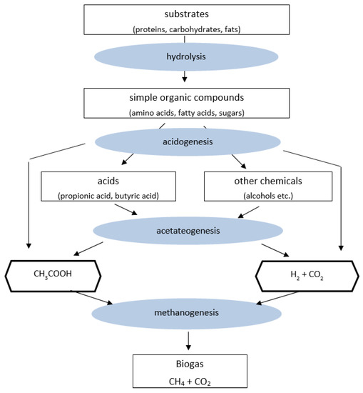 Agricultural Plant Residues as Potential Co-Substrates for Biogas ...