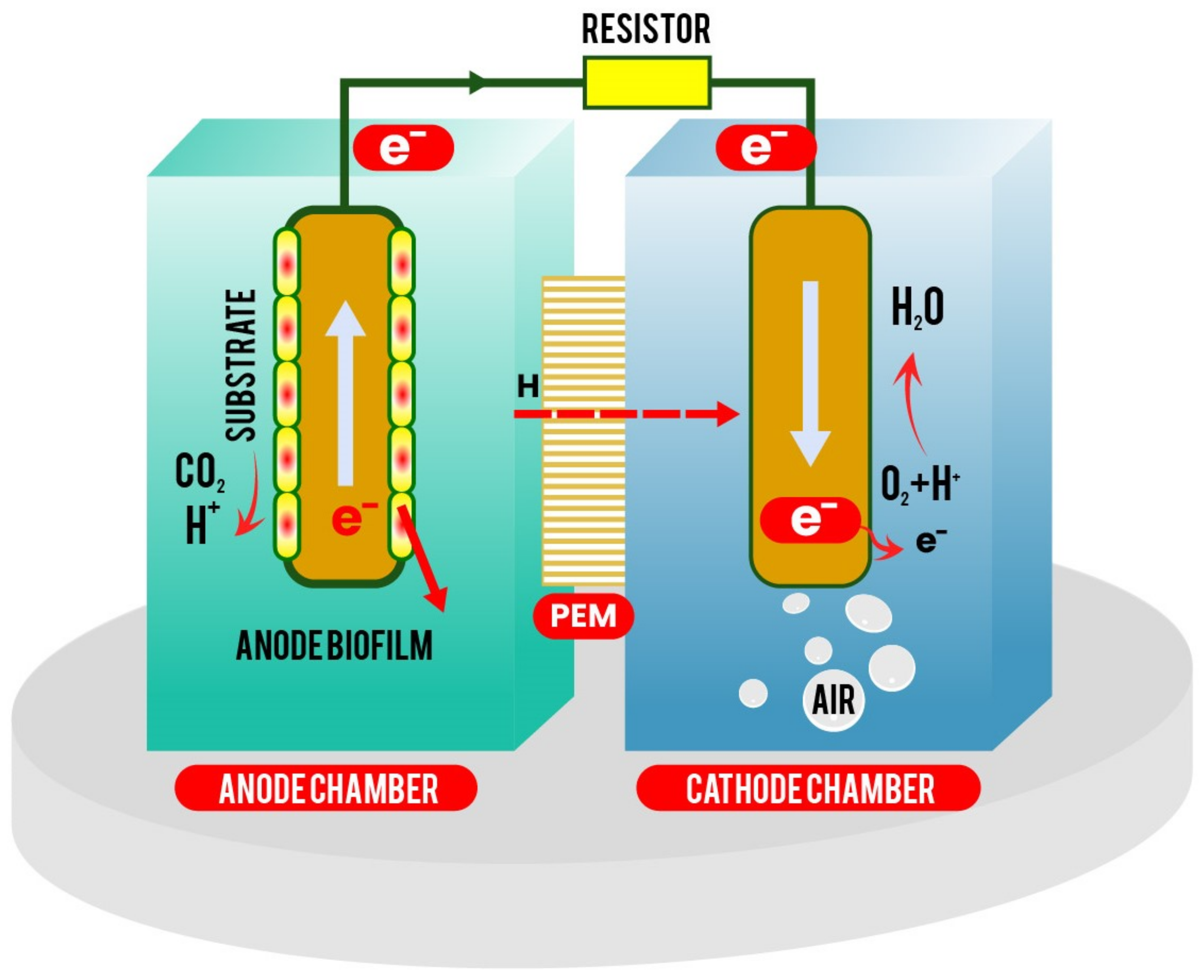 Optimal Data-Driven Modelling of a Microbial Fuel Cell