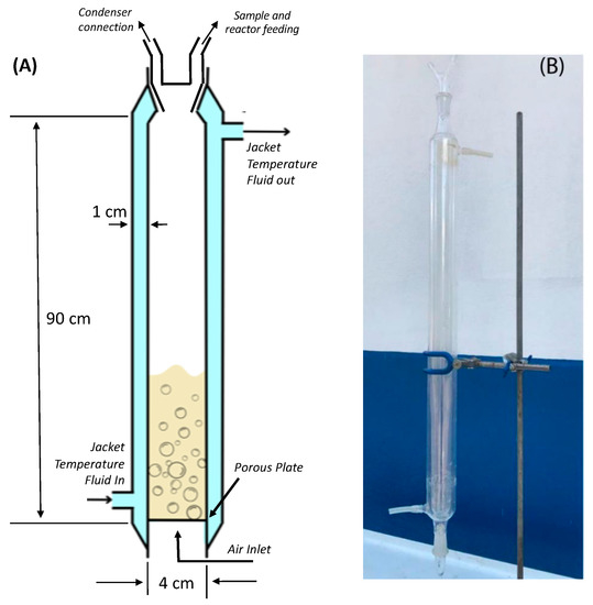 Valorization of Corn Cobs for Xylitol and Bioethanol Production through ...