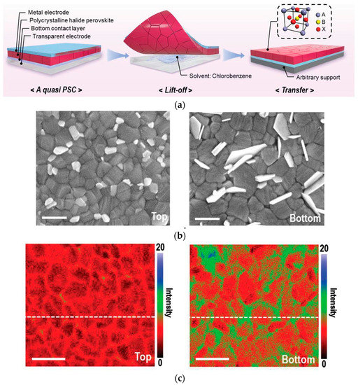 Energies | Free Full-Text | A Review on Buried Interface of Perovskite Solar Cells