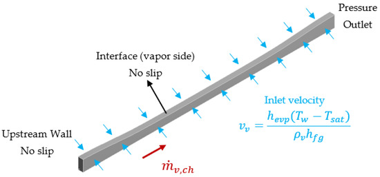 Separated Liquid–Vapor Flow Analysis in a Mini-Channel with Mesh Walls ...