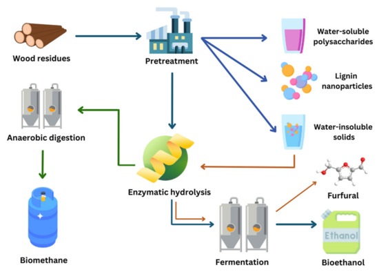 Energies | Free Full-Text | Bioethanol Production from Woody Biomass: Recent Advances on the ...
