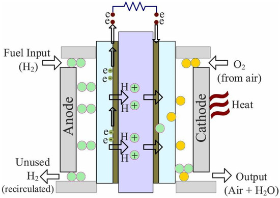 Optimal Parameter Identification of a PEM Fuel Cell Using Recent Optimization Algorithms