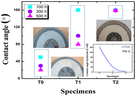 Unveiling the Future of Insulator Coatings: Unmatched Corrosion ...