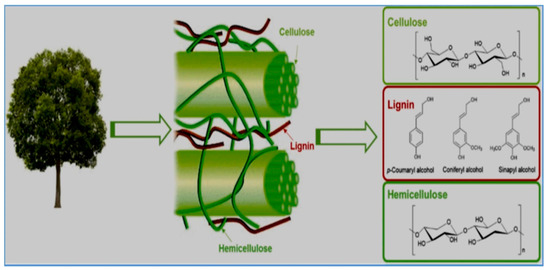 A Review on Catalytic Co-Pyrolysis of Biomass and Plastics Waste as a ...