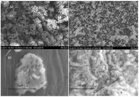 Preparation and Characterization of Shell-Based CaO Catalysts for ...