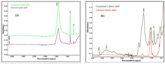 Preparation and Characterization of Shell-Based CaO Catalysts for ...