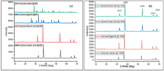 Preparation and Characterization of Shell-Based CaO Catalysts for ...