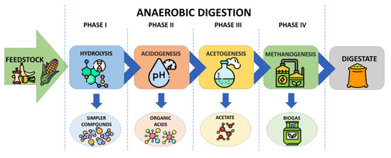 Hydrothermal Carbonization of Digestate Produced in the Biogas ...